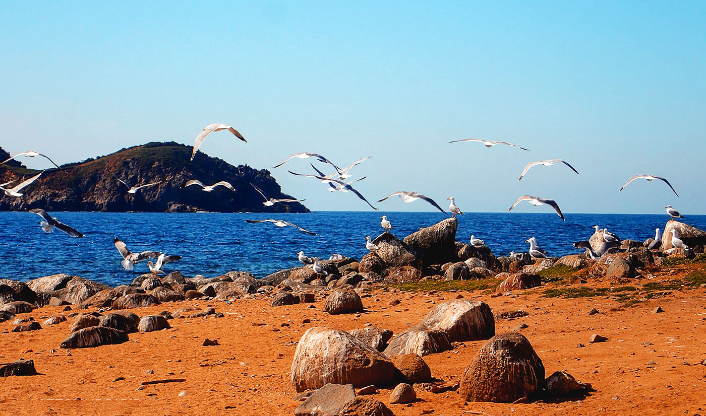 Accueil - Direction du Tourisme et de l'Artisanat Jijel